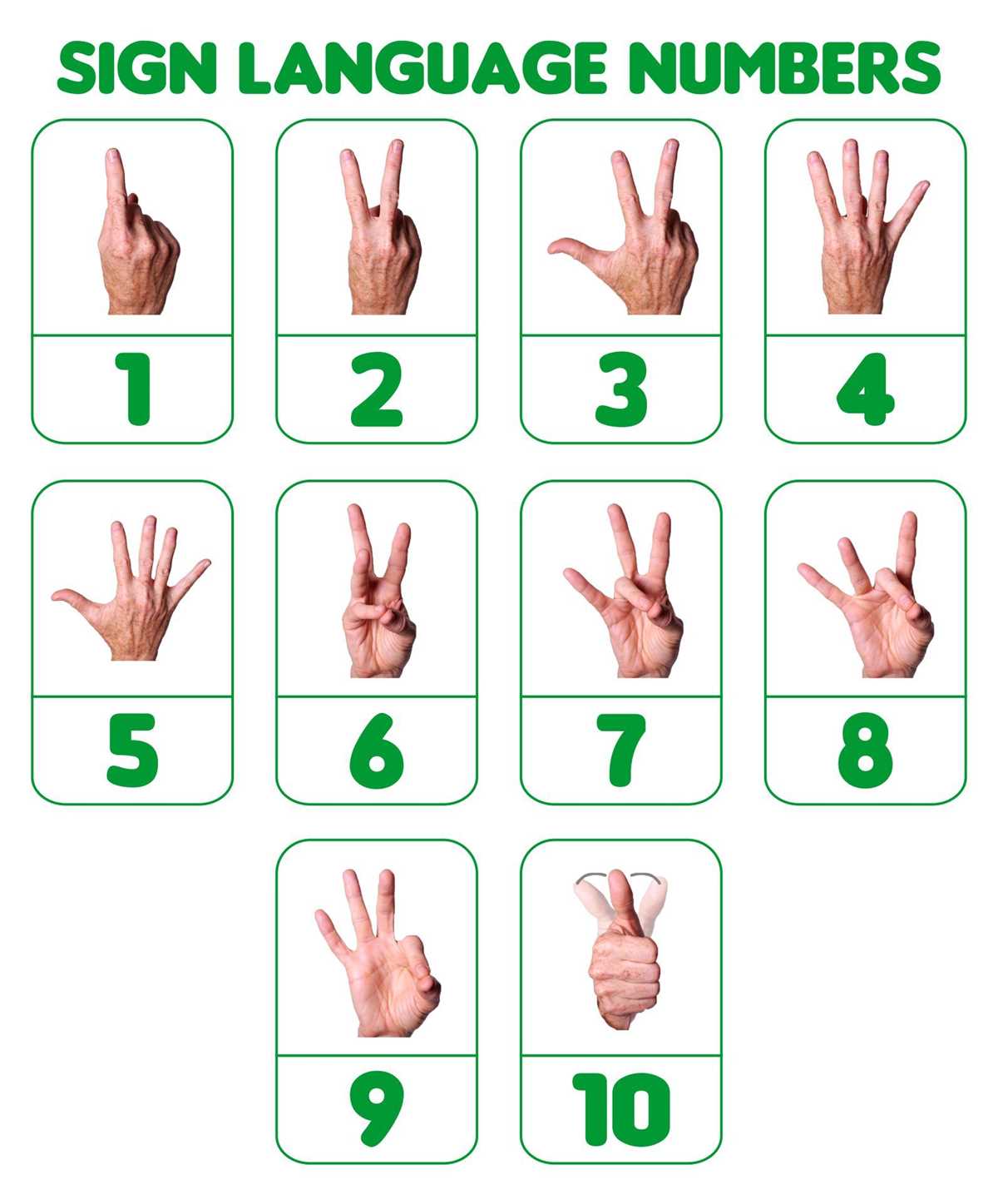 100 Basic Sign Language Words for Beginners